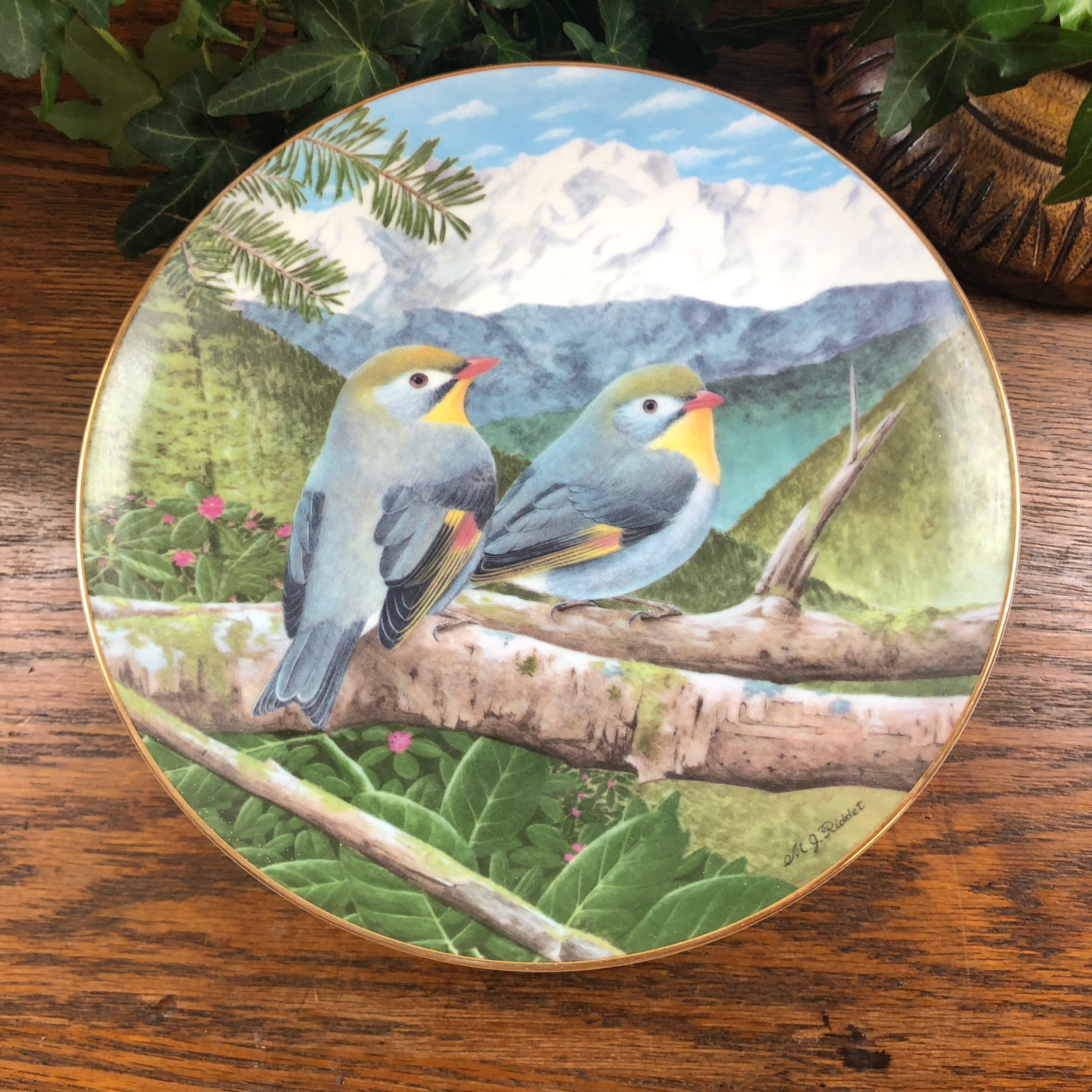Pekin Robin Decorative Bird Plate Wall Hanging the Worlds Favorite ...
