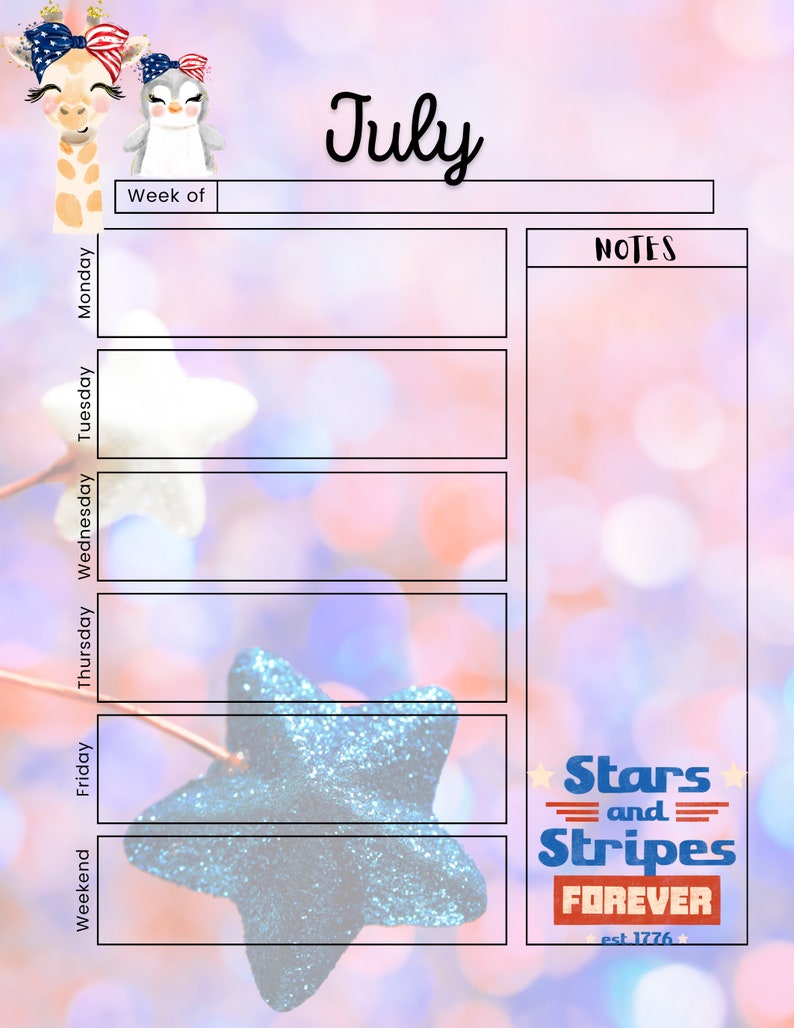 Happy Planner Weekly Agenda Organizer Pages - July - Red White Blue ...