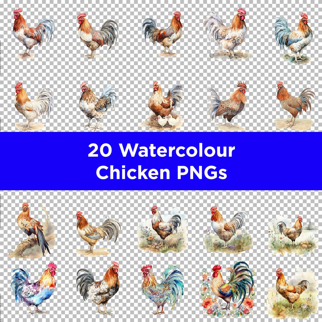20 Watercolour Chickens Png Download Chicken Png File - Etsy