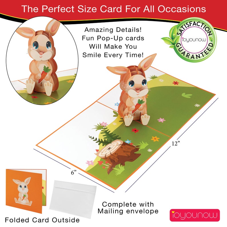 IOYOUNOW Pink Bunny Pop up Card 12x6 Inch Greetings Card With Amazing ...