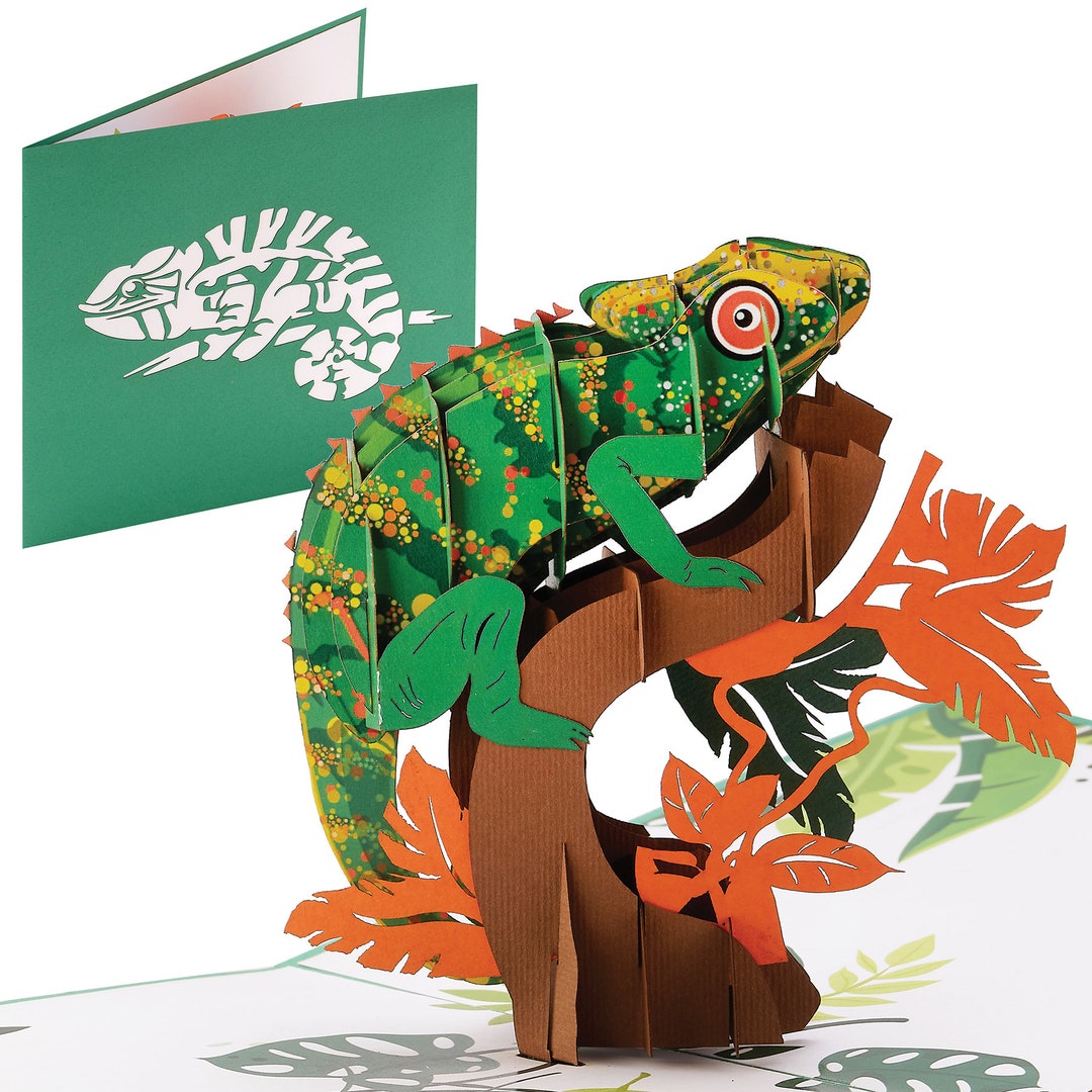 Chamelon Pop up Card - 6x6 Pop up Birthday Card, Greetings Card | Happy ...