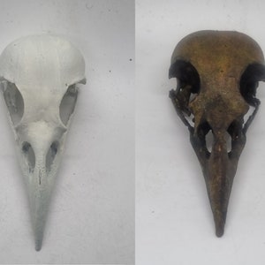 Ornamental Crow Skull, 3D Printed Skull, Bird Skull Decoration, Cosplay ...