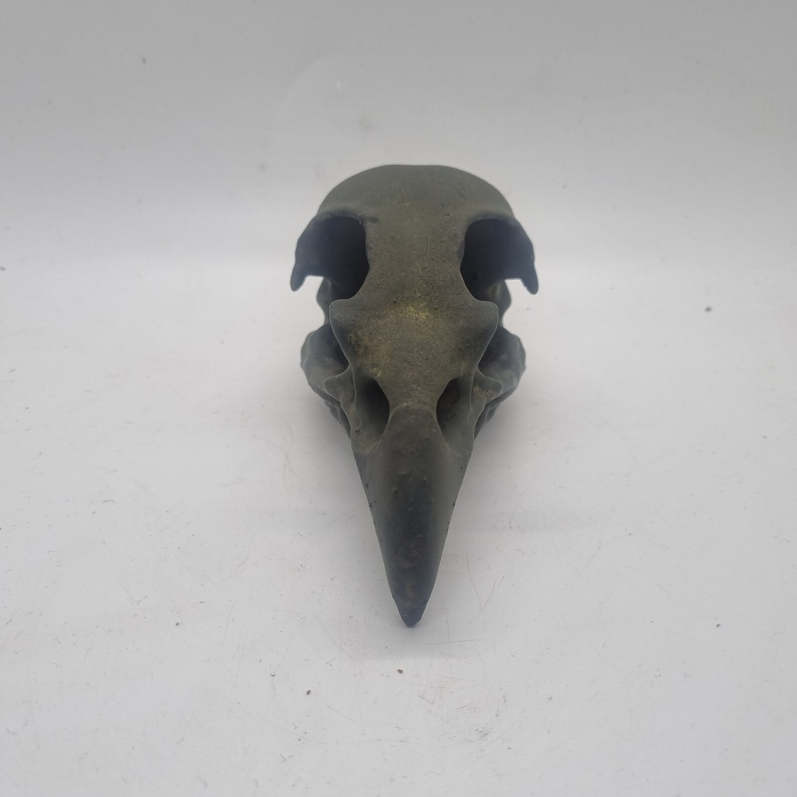 3d Printed Eagle Skull, Weathered Bone Effect,gothic Horror Decoration ...