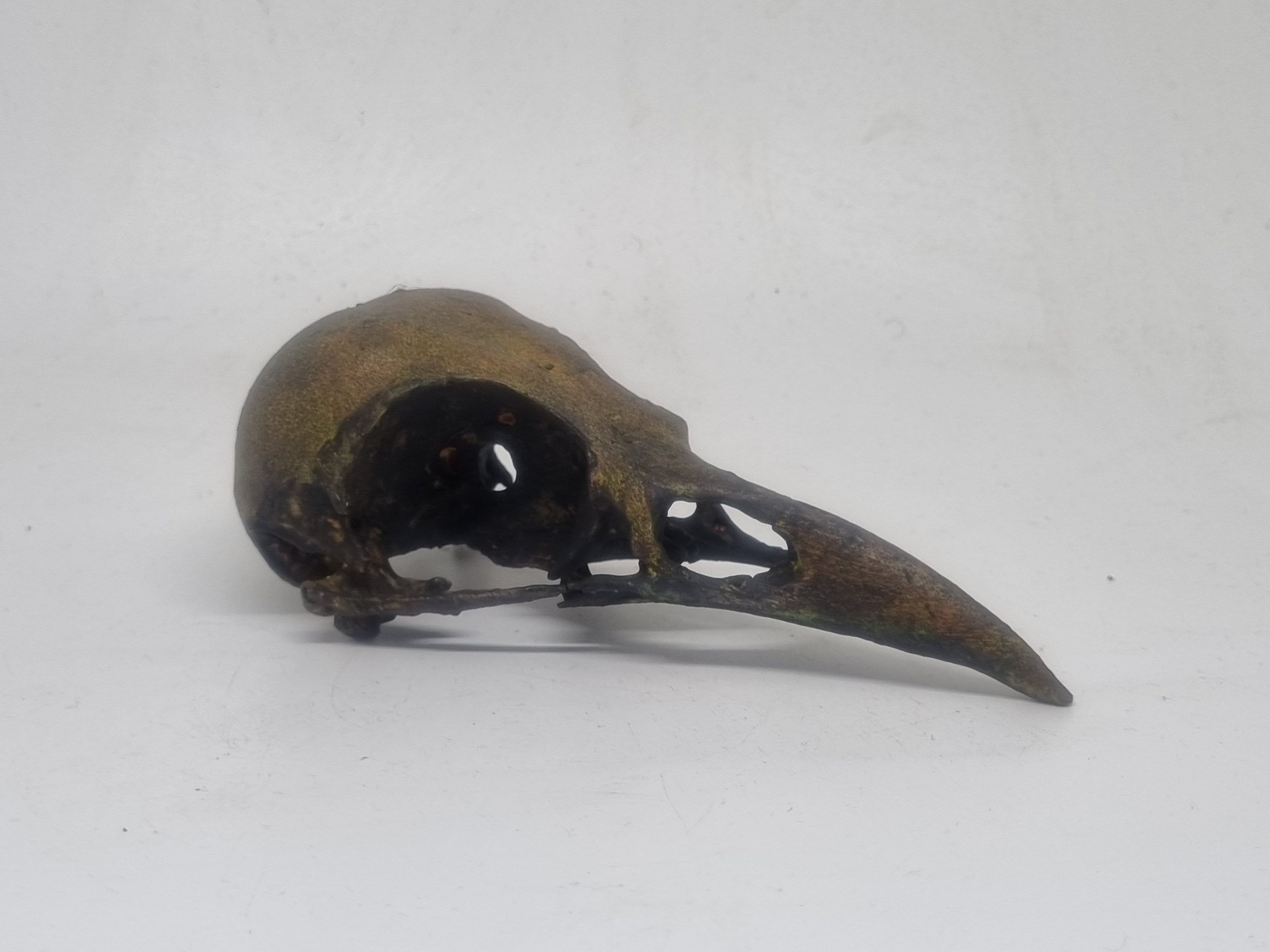 Ornamental Crow Skull, 3D Printed Skull, Bird Skull Decoration, Cosplay ...