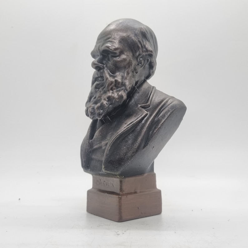 Charles Darwin Bust, 3d Print Male Head Statuette, Historic Sculpture ...