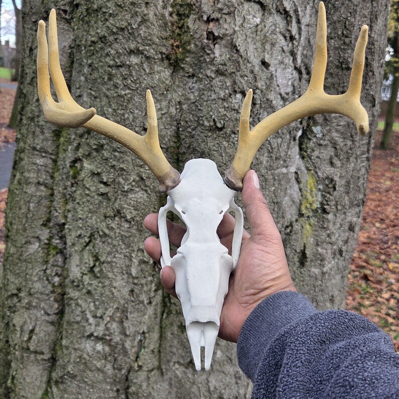 Deer Skull, 3d Printed Taxidermy Decoration, Weathered Bone Effect, 3d ...