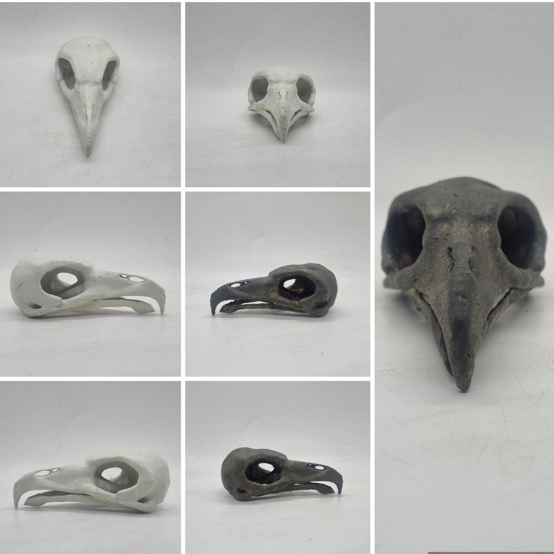 3d Printed Vulture Skull, Bird Horror Decoration, Gothic Cosplay ...