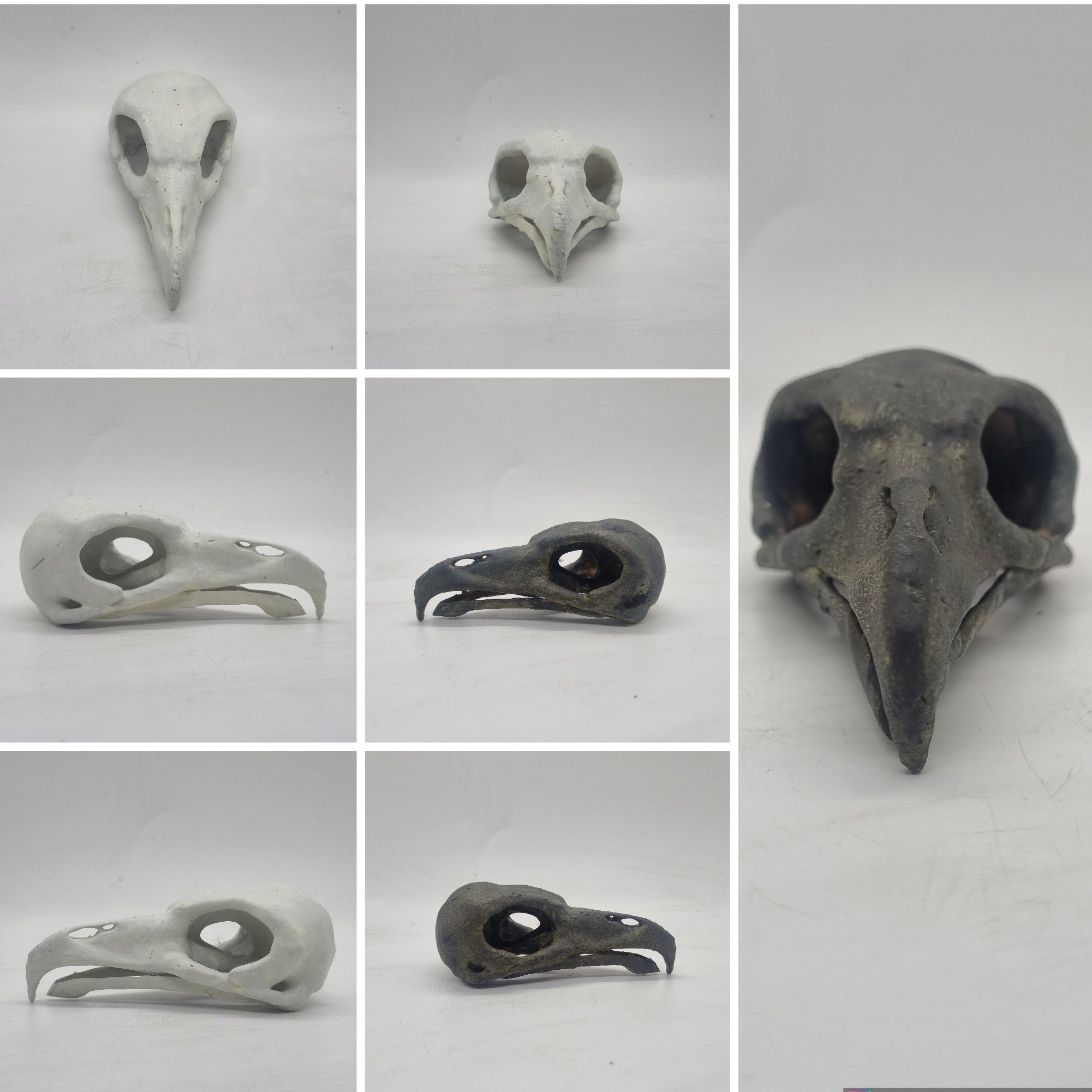 3d Printed Vulture Skull Bird Horror Decoration Gothic - Etsy