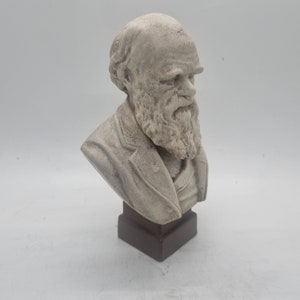 Charles Darwin Bust, 3d Print Male Head Statuette, Historic Sculpture ...