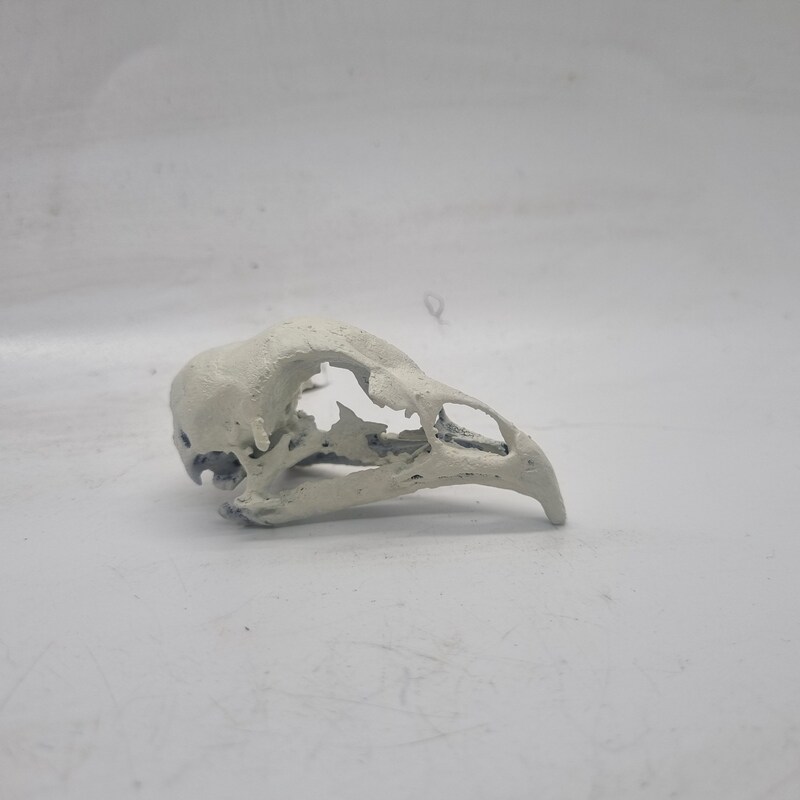 Chicken Skeleton Halloween Decoration - Etsy