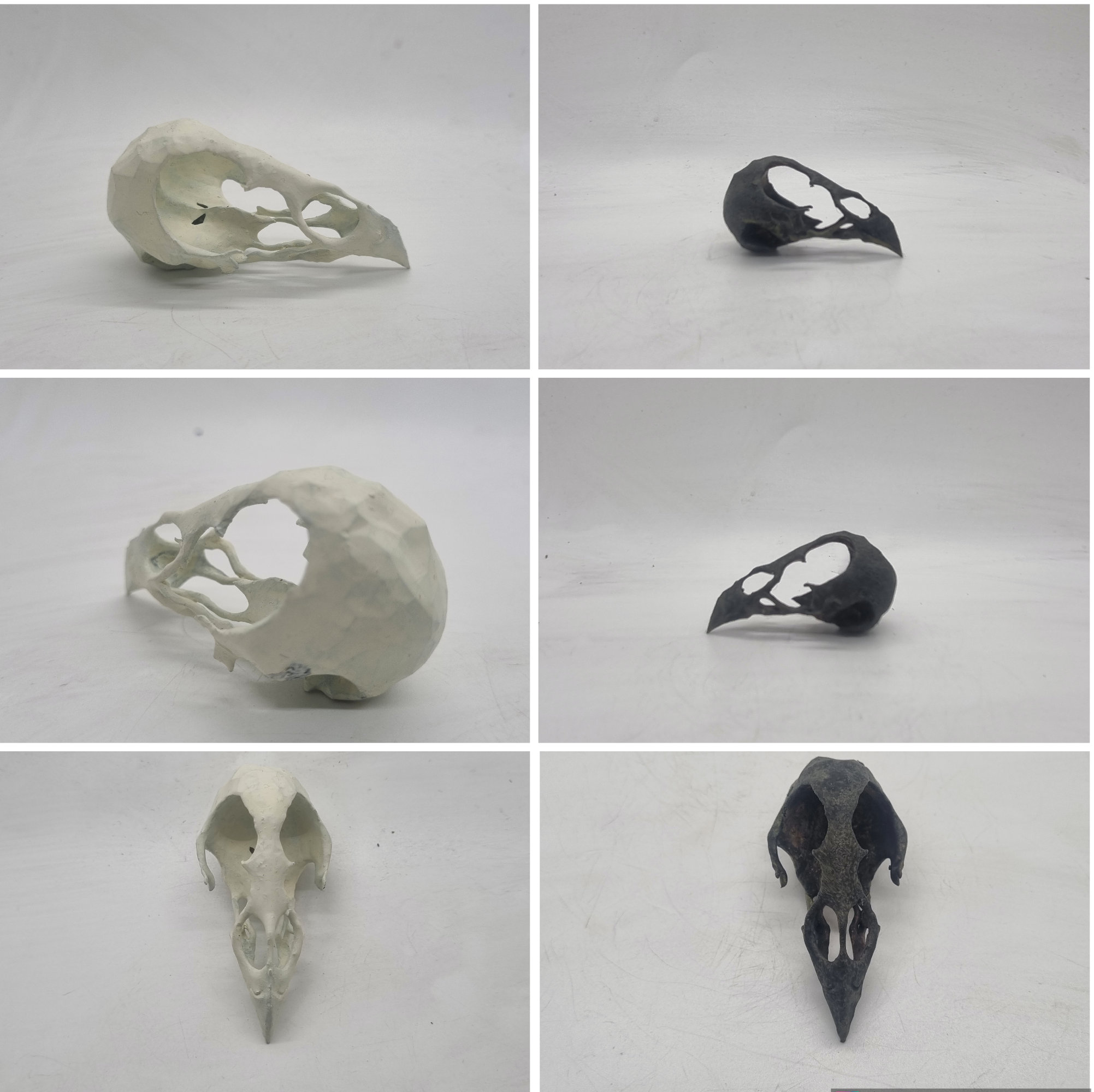 3d Printed Chicken Skull Ornamental Resin Skeleton Bird - Etsy