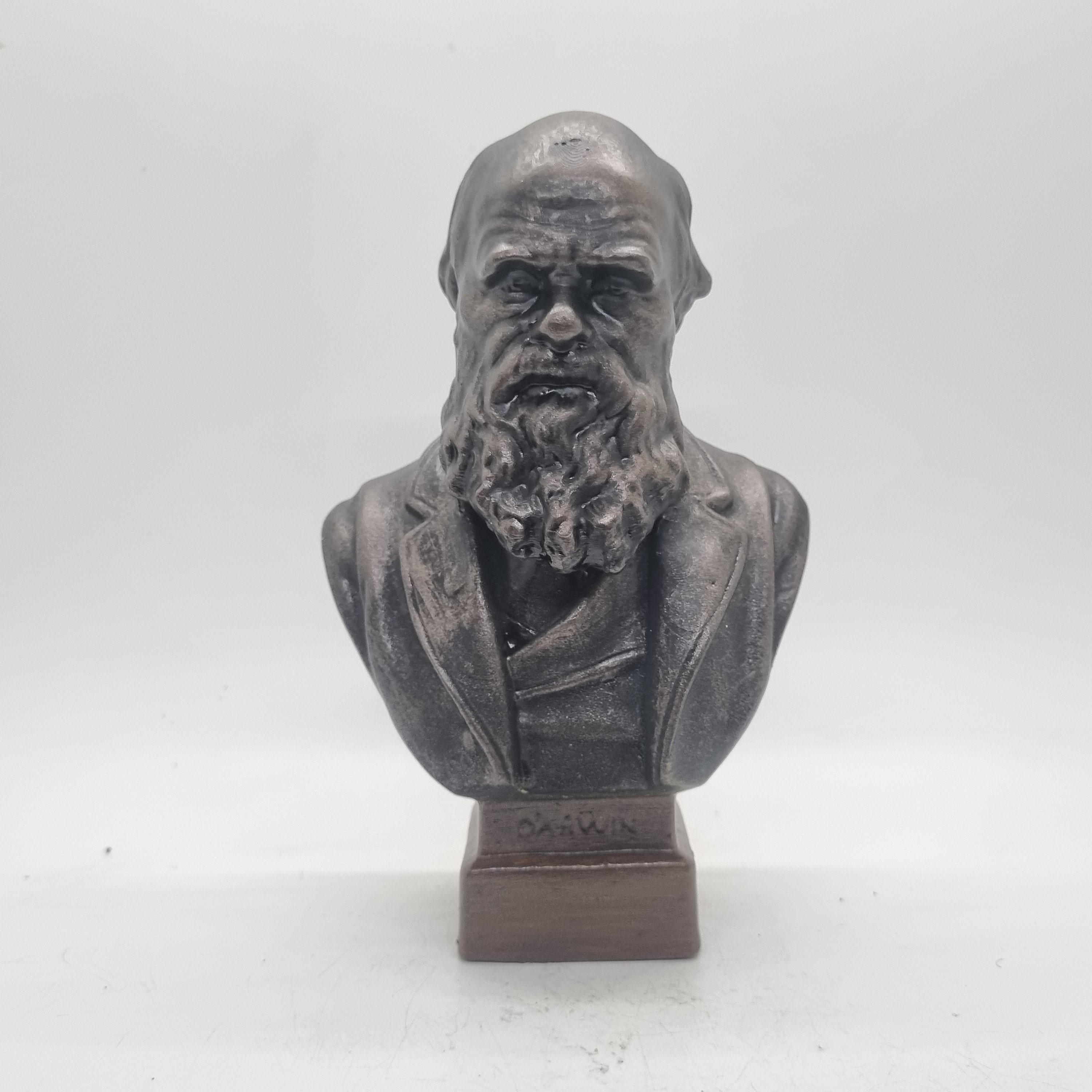 Charles Darwin Bust, 3d Print Male Head Statuette, Historic Sculpture ...