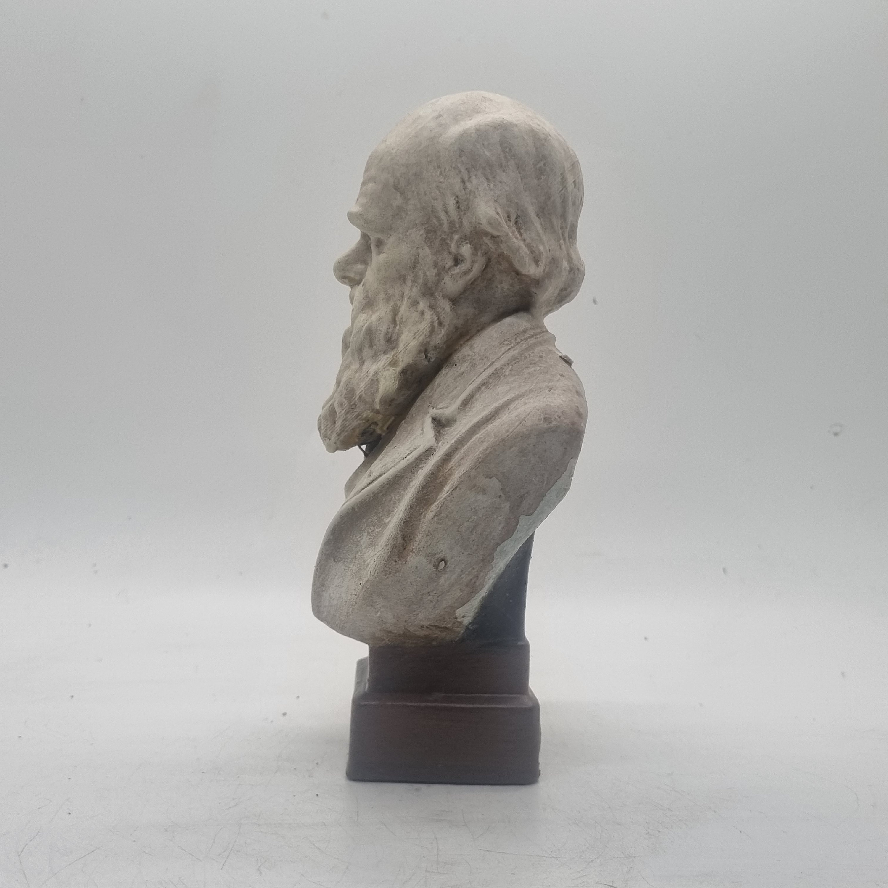 Charles Darwin Bust, 3d Print Male Head Statuette, Historic Sculpture ...