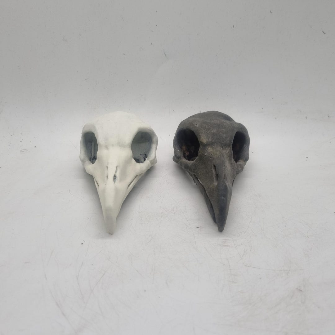 3d Printed Vulture Skull, Bird Horror Decoration, Gothic Cosplay ...