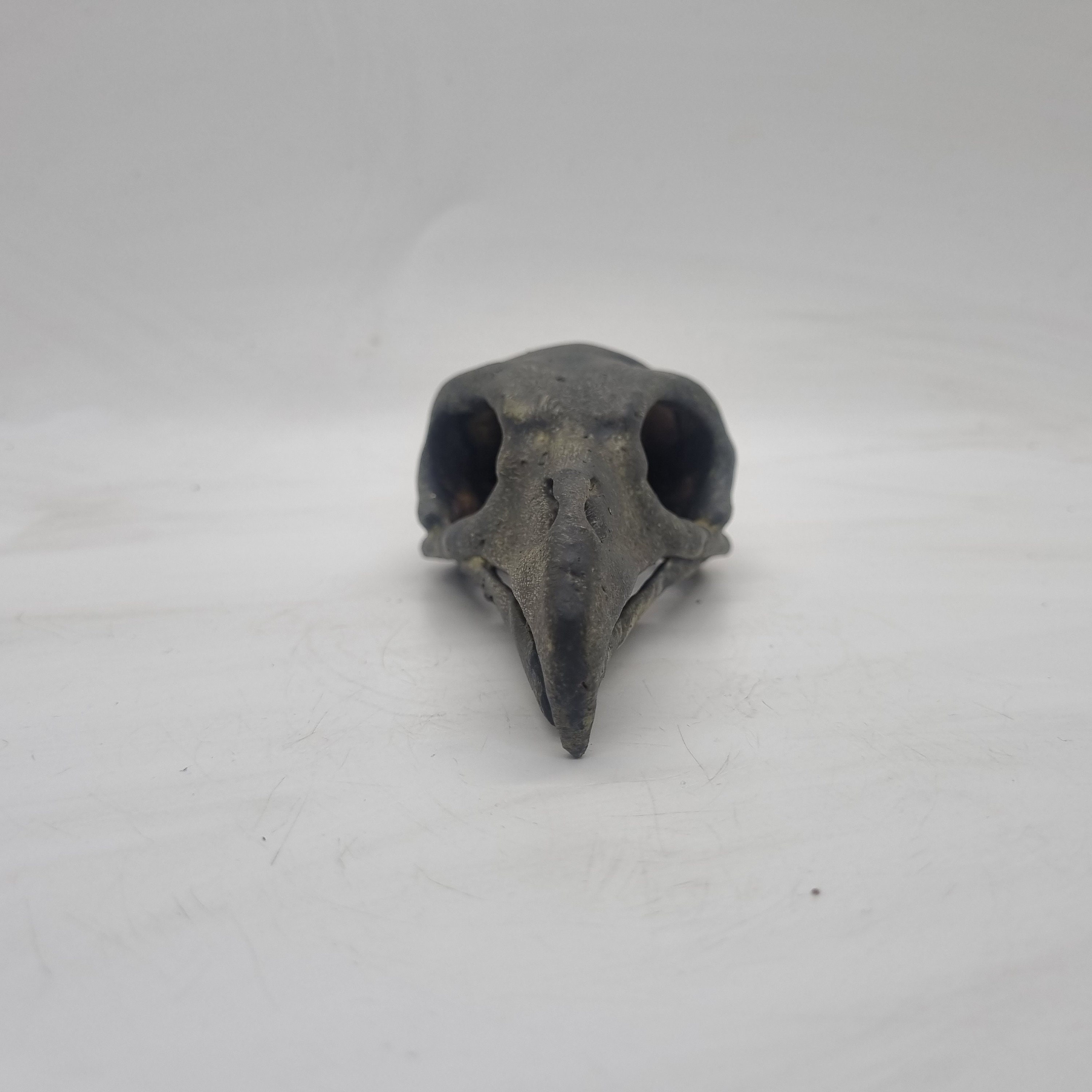 3d Printed Vulture Skull Bird Horror Decoration Gothic - Etsy