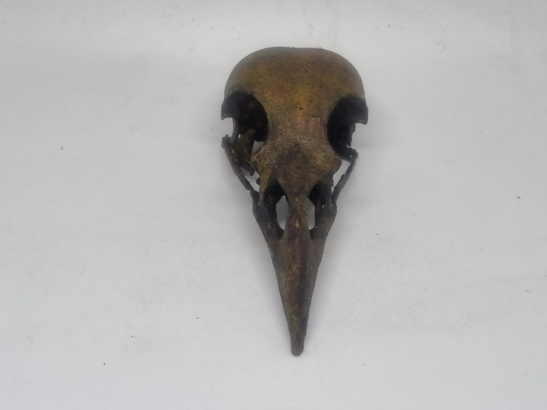 Weathered Bone Effect 3d Printed Ornamental Crow Skull, Bird Horror ...