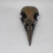 Ornamental Crow Skull, 3D Printed Skull, Bird Skull Decoration, Cosplay ...