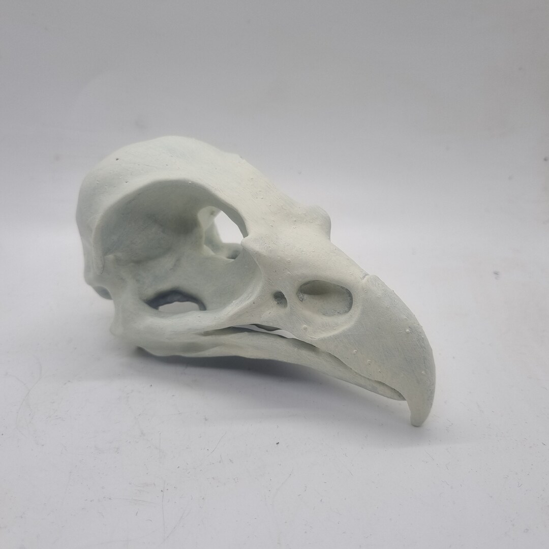 Eagle Skull, Horror Decoration,ornamental Goth Cosplay, Bird Accessory ...