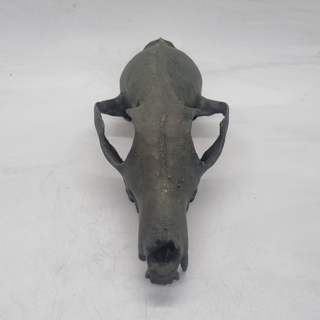 Red Fox Skull Aged Bone Effect, Resin Horror Decoration, 3d Printed ...