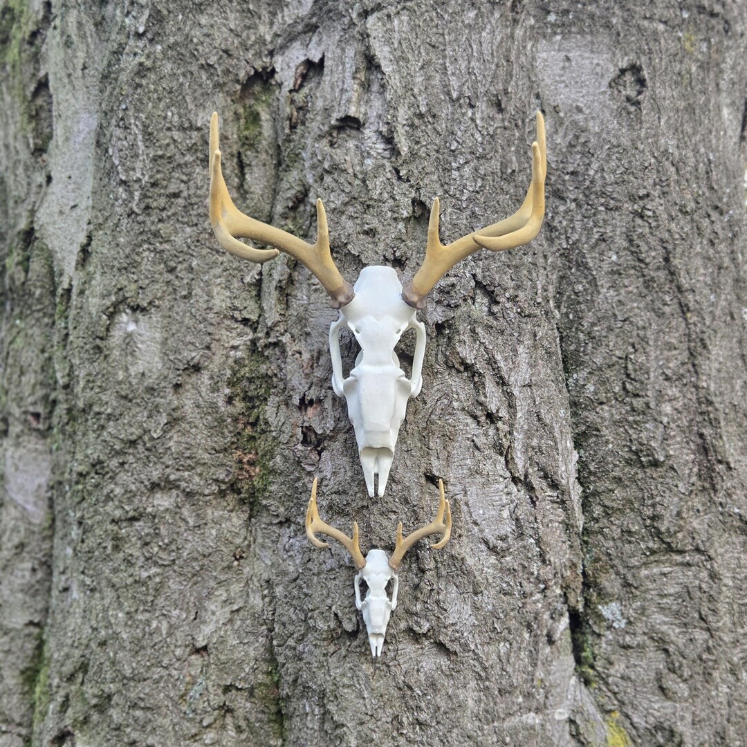 Deer Skull, 3d Printed Taxidermy Decoration, Weathered Bone Effect, 3d ...