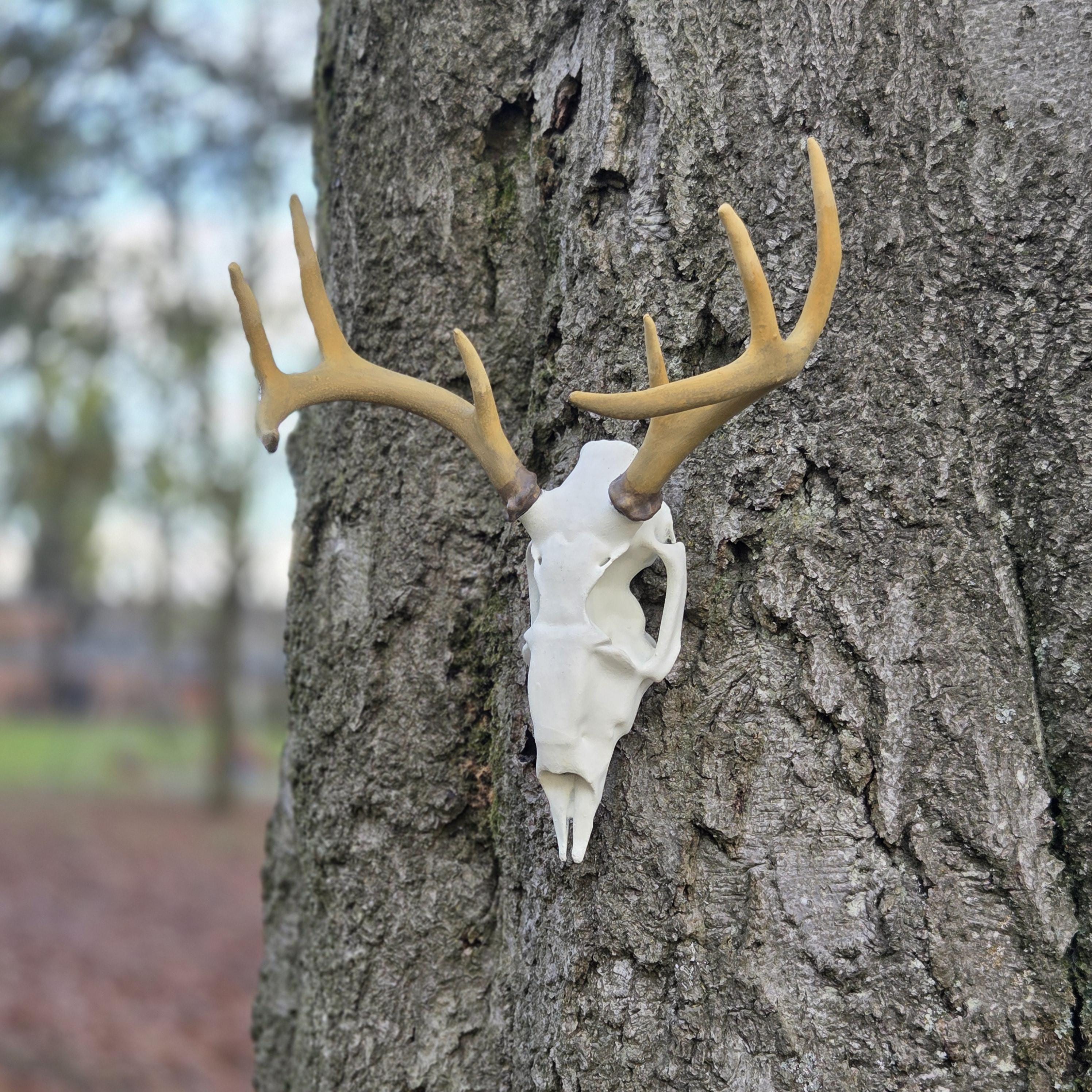 Deer Skull, 3d Printed Taxidermy Decoration, Weathered Bone Effect, 3d ...