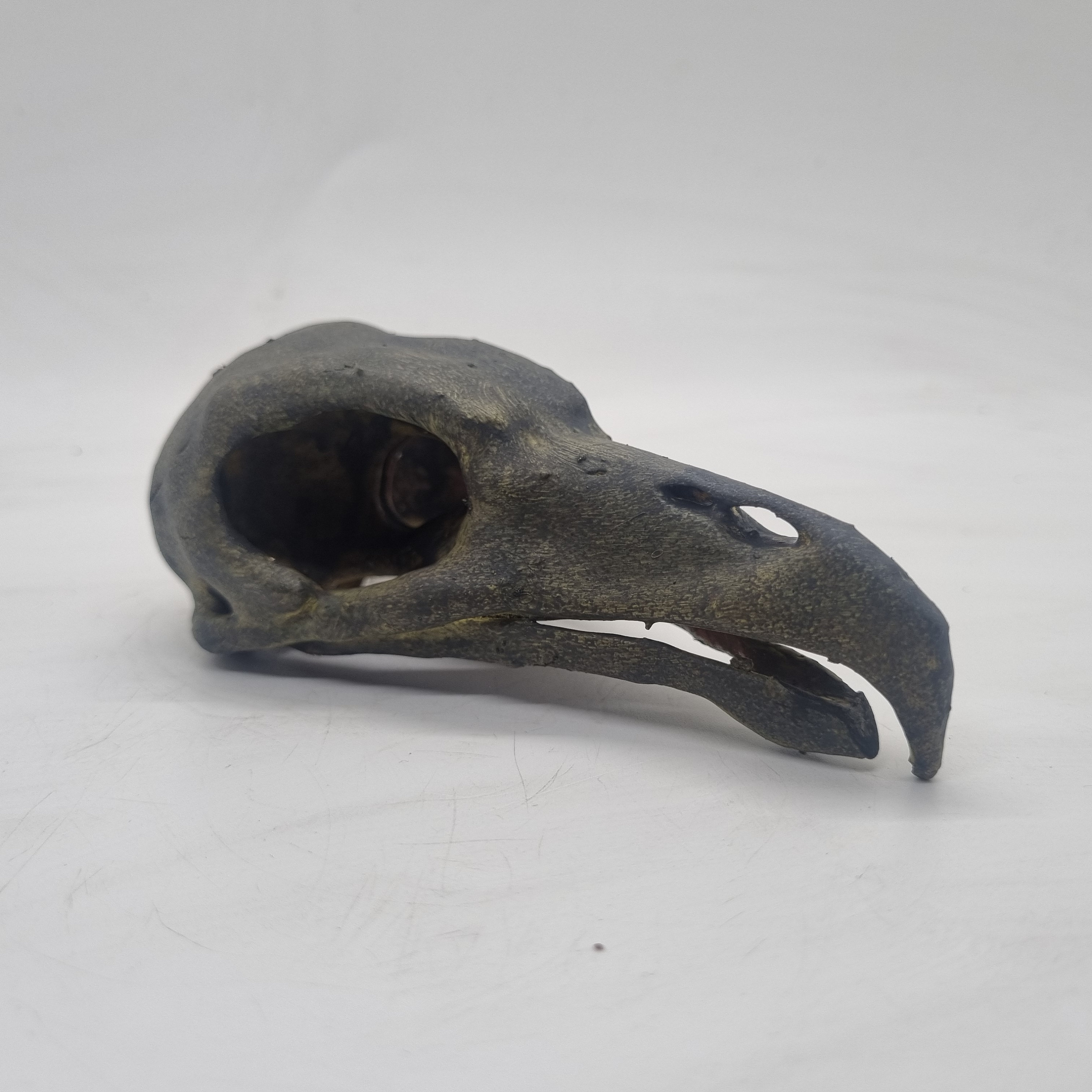 3d Printed Vulture Skull Bird Horror Decoration Gothic - Etsy