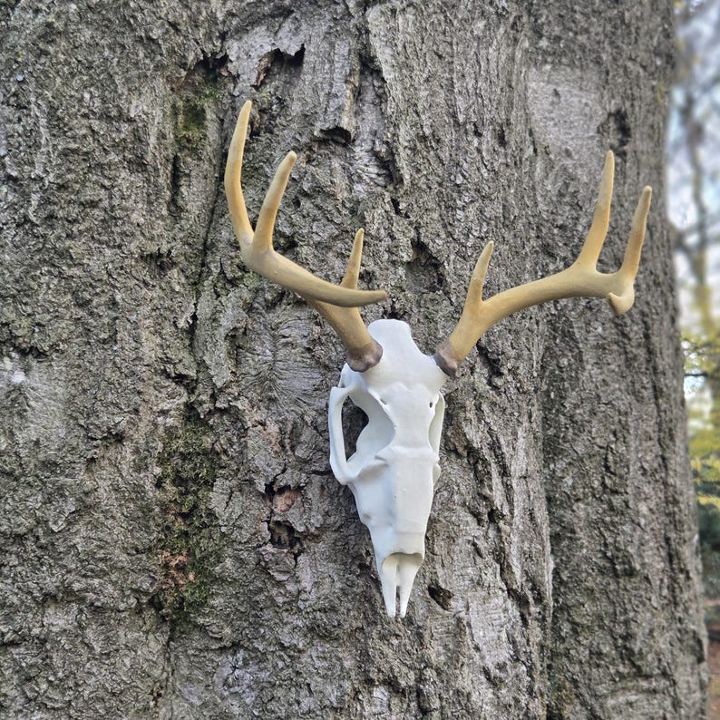 Deer Skull, 3d Printed Taxidermy Decoration, Weathered Bone Effect, 3d ...