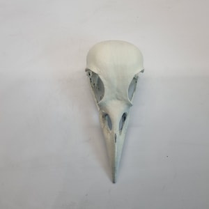 Ornamental Crow Skull, 3D Printed Skull, Bird Skull Decoration, Cosplay ...