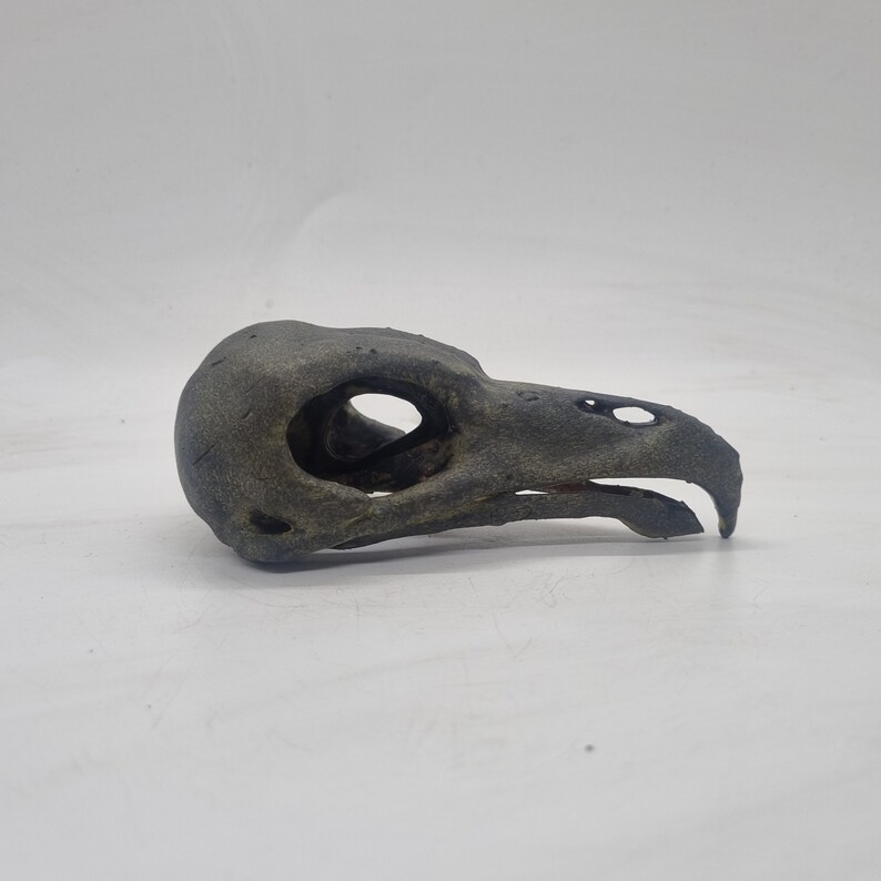 3d Printed Vulture Skull, Bird Horror Decoration, Gothic Cosplay ...