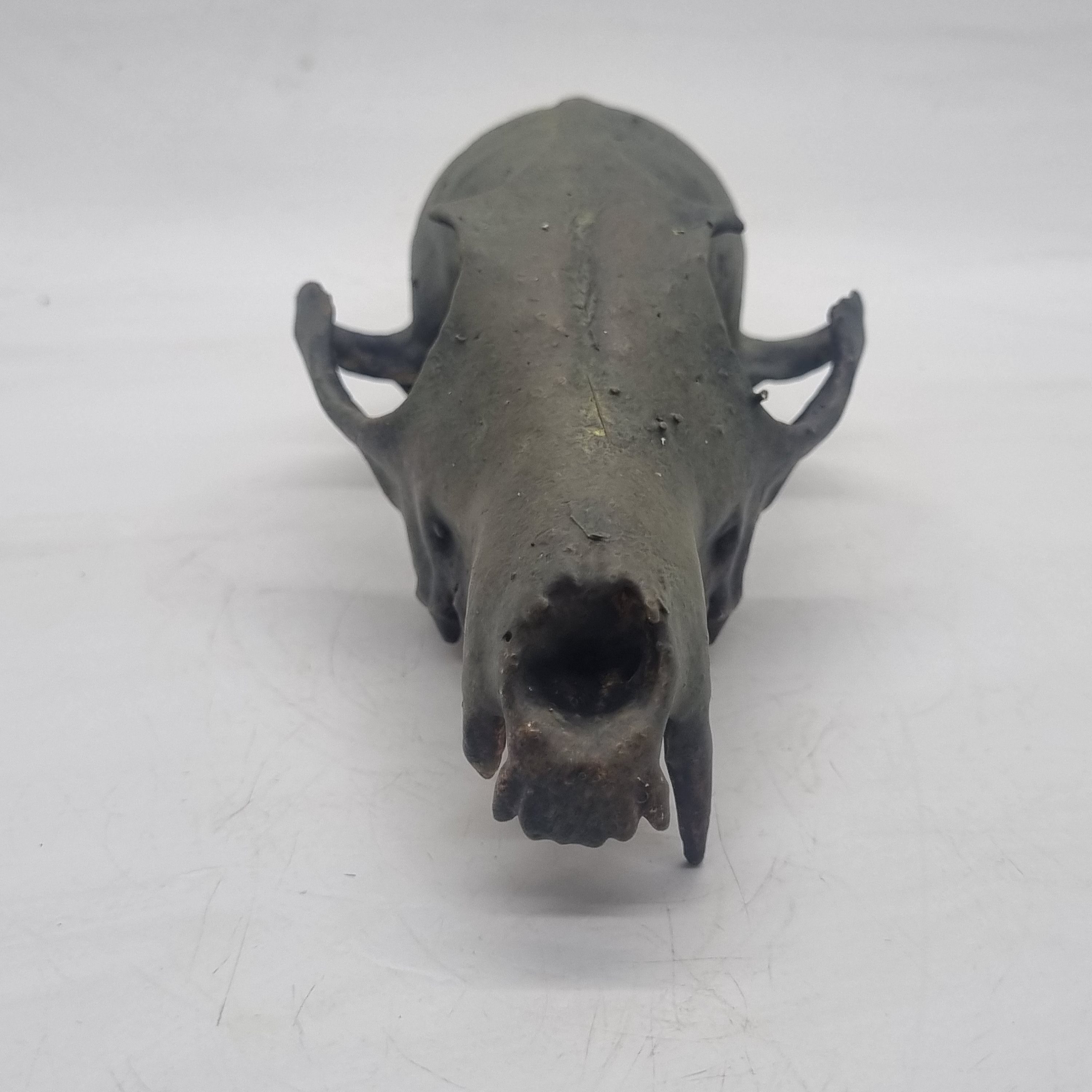 Red Fox Skull Aged Bone Effect, Resin Horror Decoration, 3d Printed ...