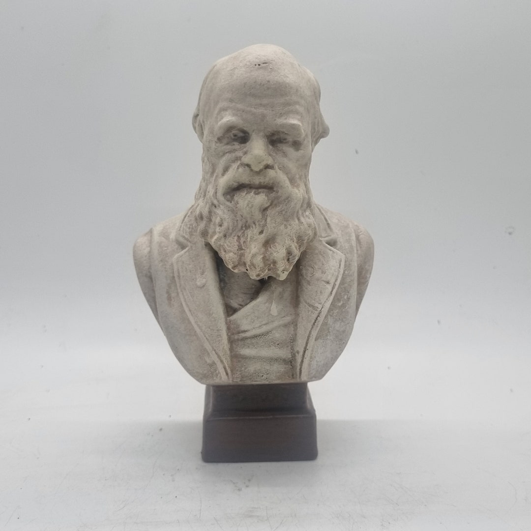 Marble Effect Charles Darwin Bust, 3d Print Male Head Statue, Historic ...