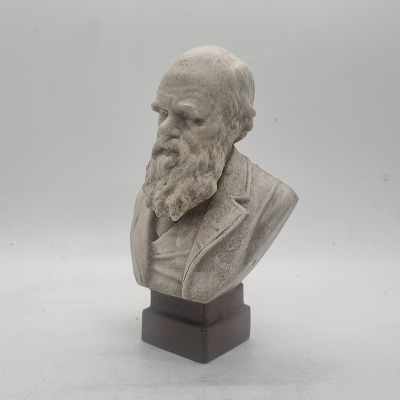 Charles Darwin Bust, 3d Print Male Head Statuette, Historic Sculpture ...
