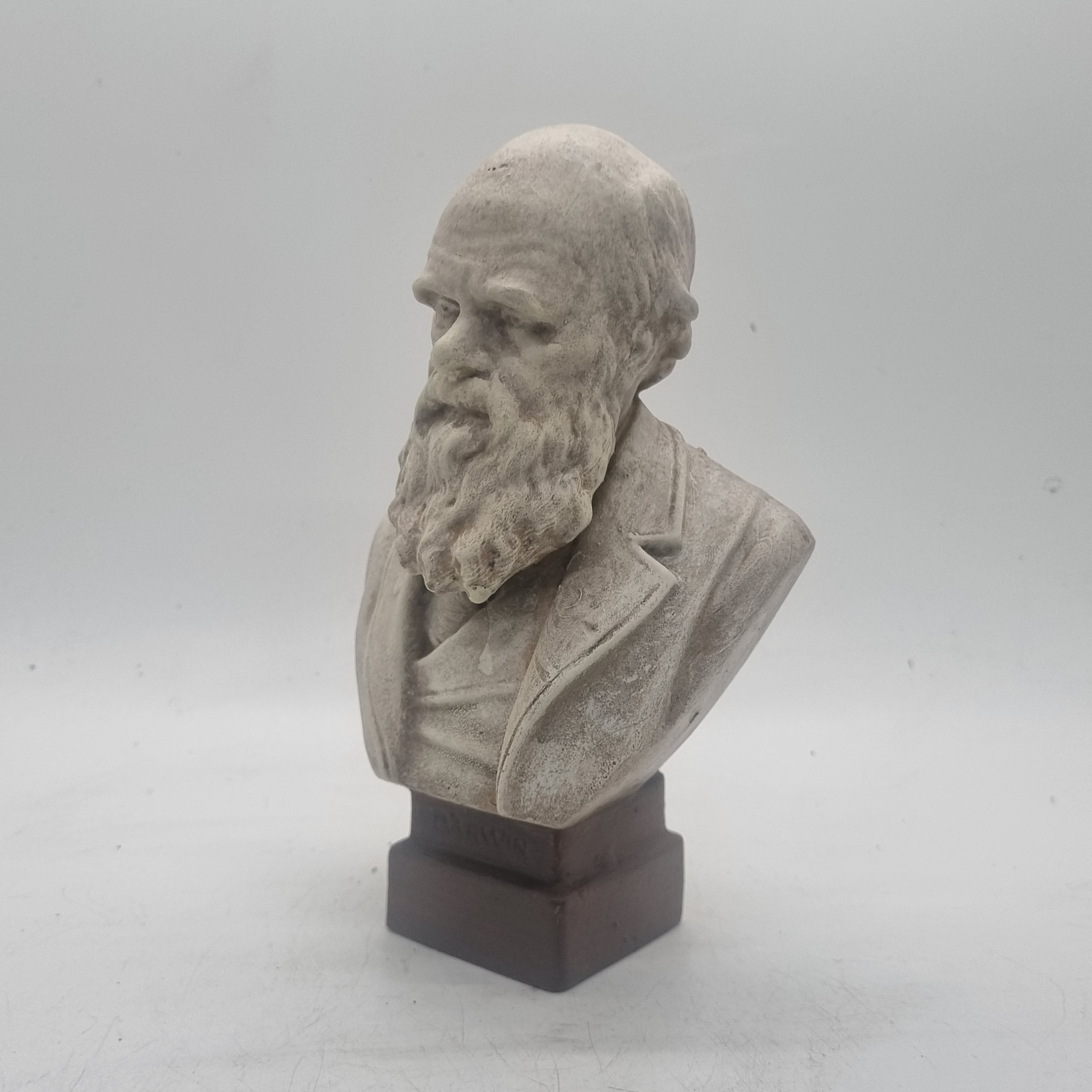 Charles Darwin Bust, 3d Print Male Head Statuette, Historic Sculpture ...
