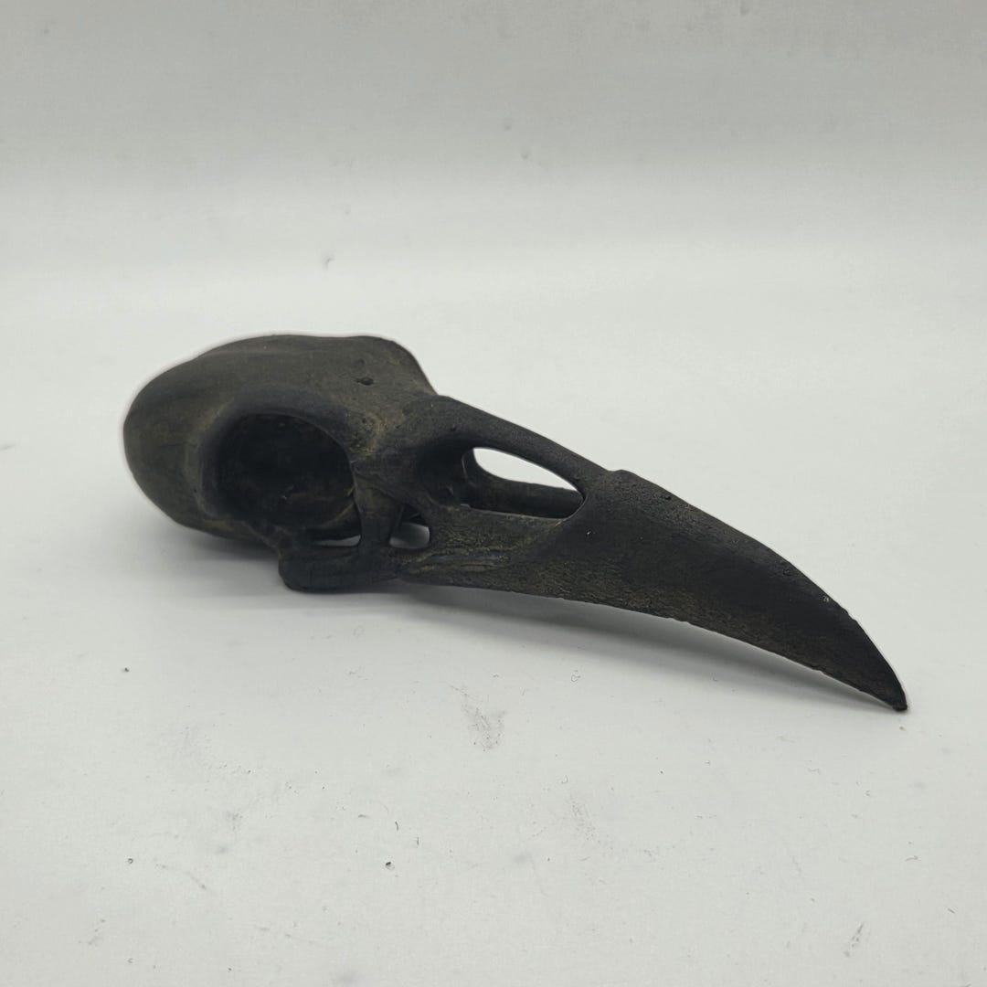 Decorative Raven Skull, 3D Printed Gothic Ornament, Horror Decoration ...