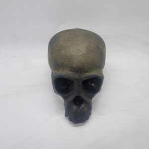 Aged Bone Effect Chimp Skull, Resin Monkey Head, 3d Printed Animal ...