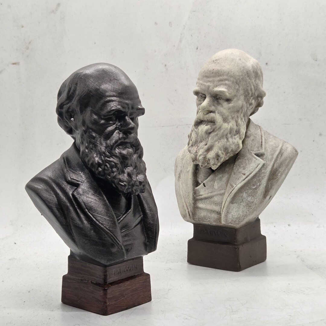Charles Darwin Bust, 3d Print Male Head Statuette, Historic Sculpture ...