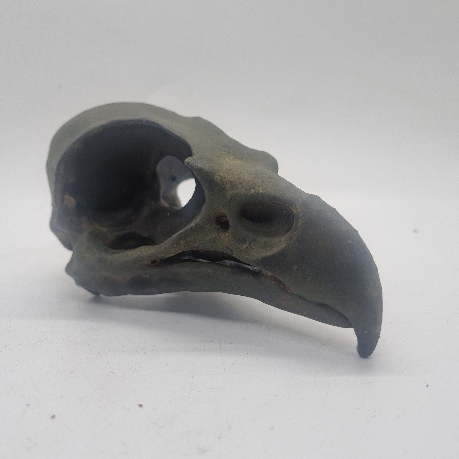 3d Printed Eagle Skull, Weathered Bone Effect,gothic Horror Decoration ...