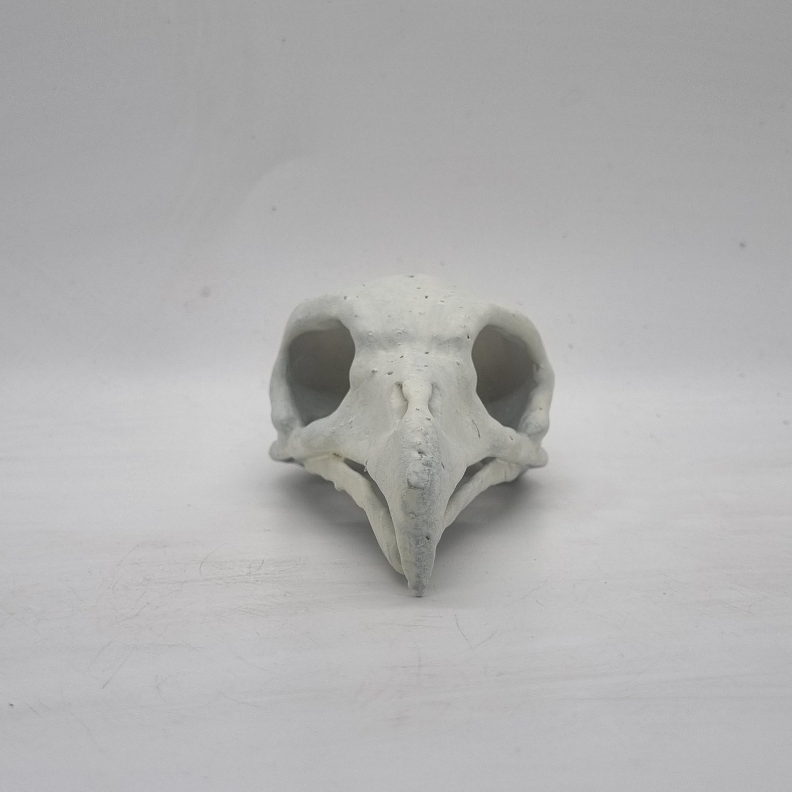 3d Printed Vulture Skull, Bird Horror Decoration, Gothic Cosplay ...