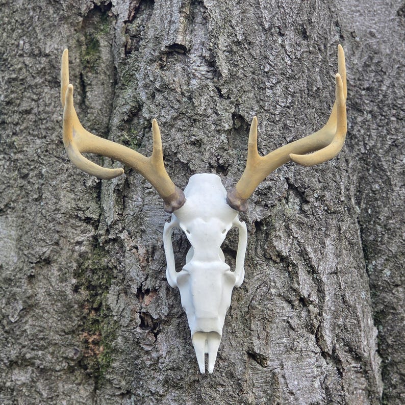 Deer Skull, 3d Printed Taxidermy Decoration, Weathered Bone Effect, 3d ...