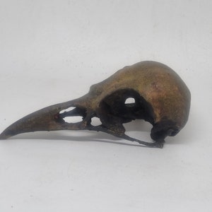 Ornamental Crow Skull, 3D Printed Skull, Bird Skull Decoration, Cosplay ...