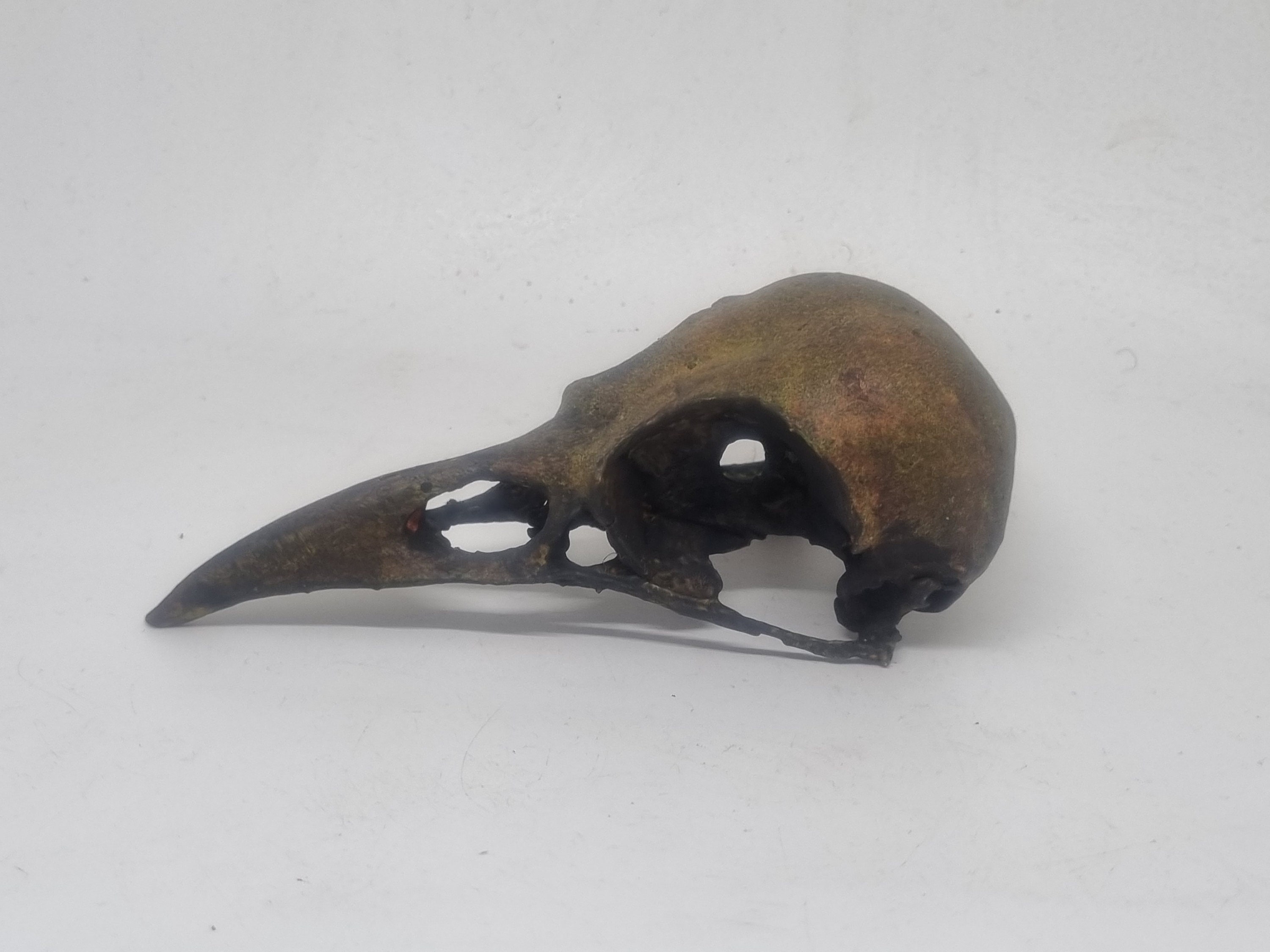 Ornamental Crow Skull, 3D Printed Skull, Bird Skull Decoration, Cosplay ...