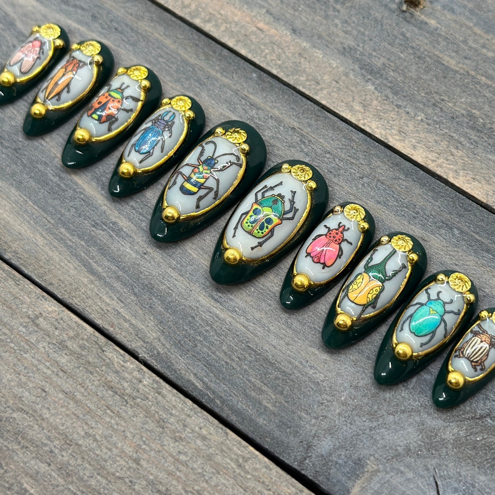 Bug Press‑on Nails – Beetles & Bugs Framed in Gold on Forest Green ...