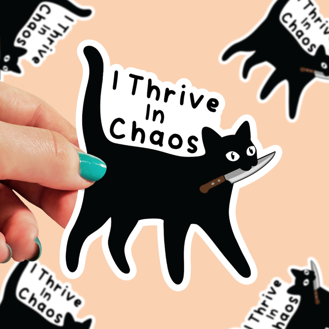I Thrive in Chaos Sticker | Black Cat Sticker | Knife Sticker ...