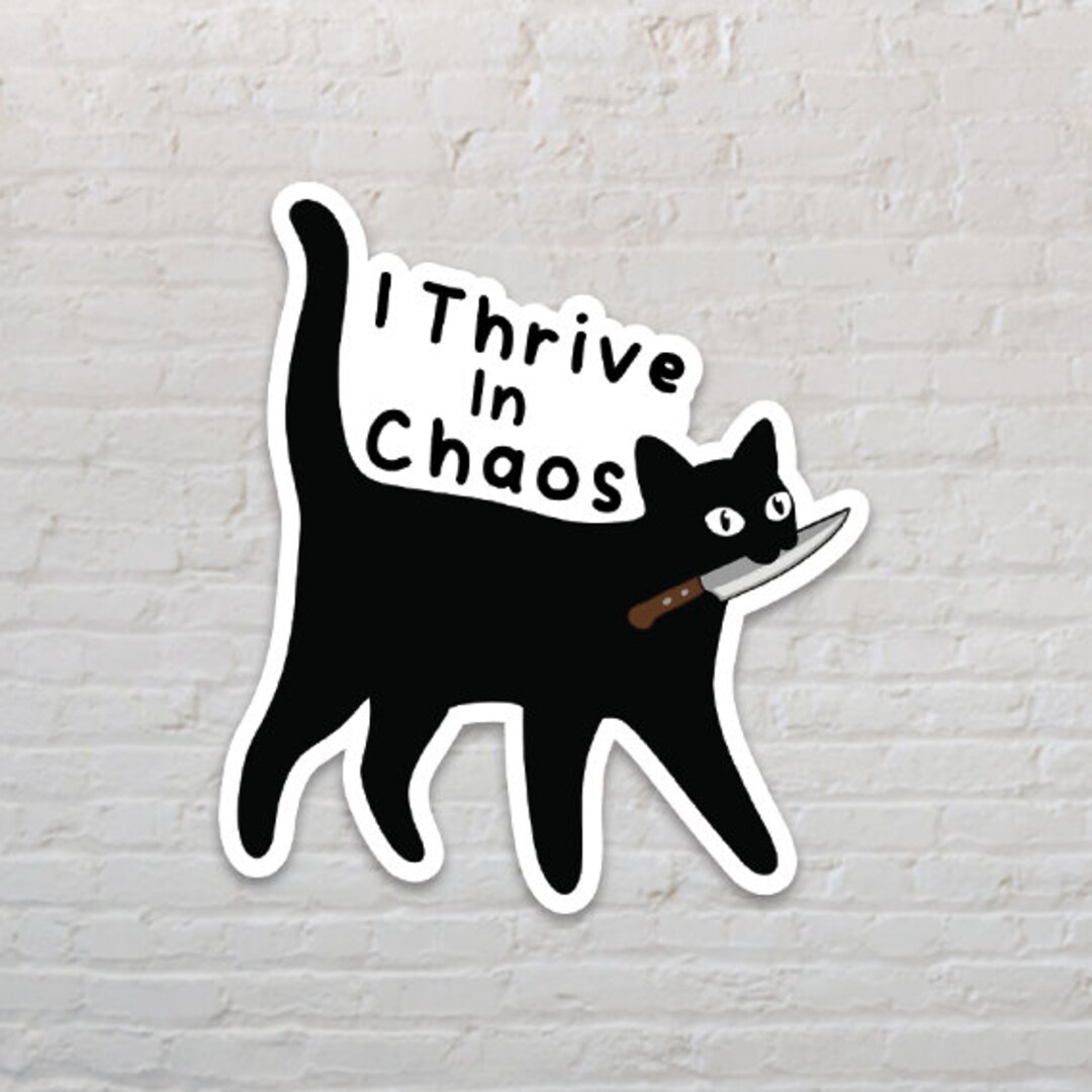I Thrive in Chaos Sticker Black Cat Sticker Knife Sticker Stickers for ...