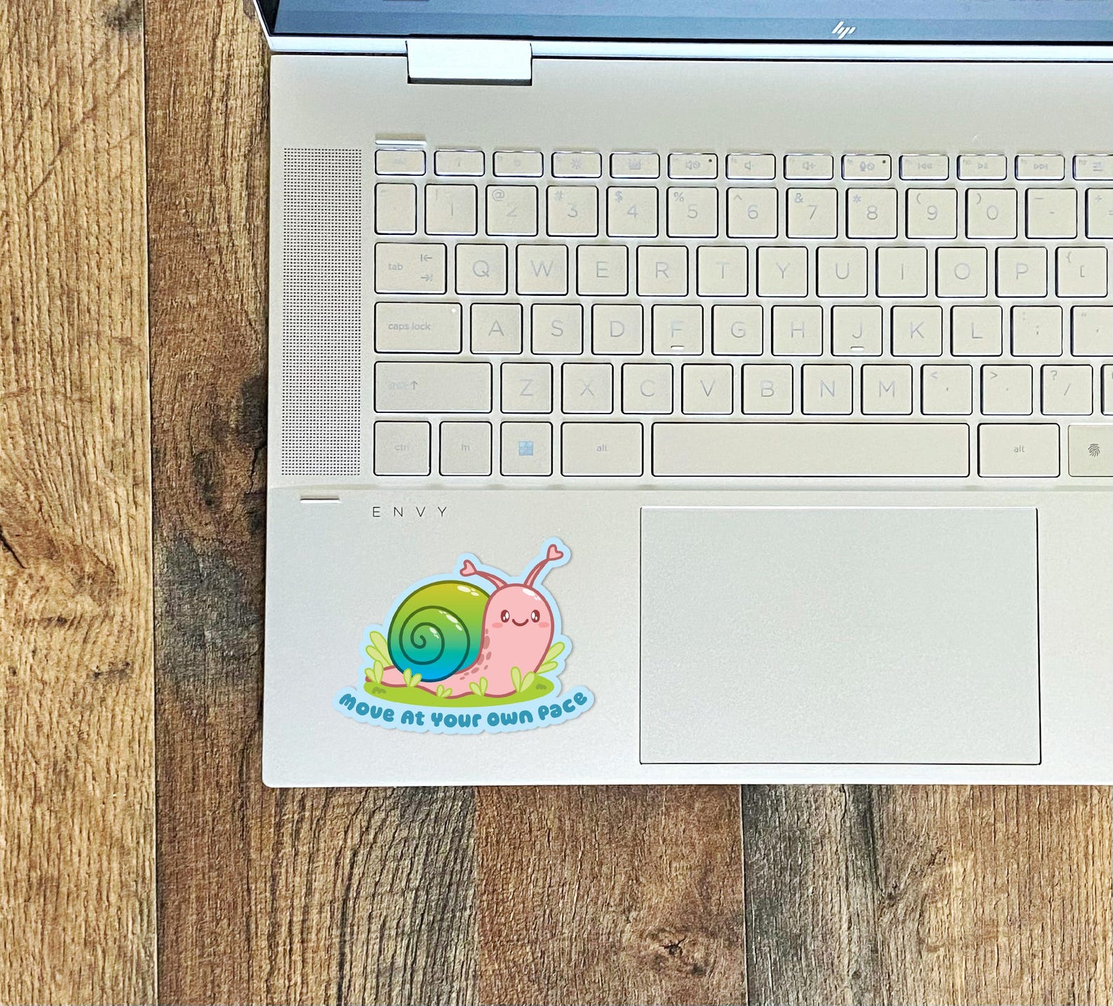 Move at Your Own Pace Sticker | Snail Sticker | Mental Health Sticker ...