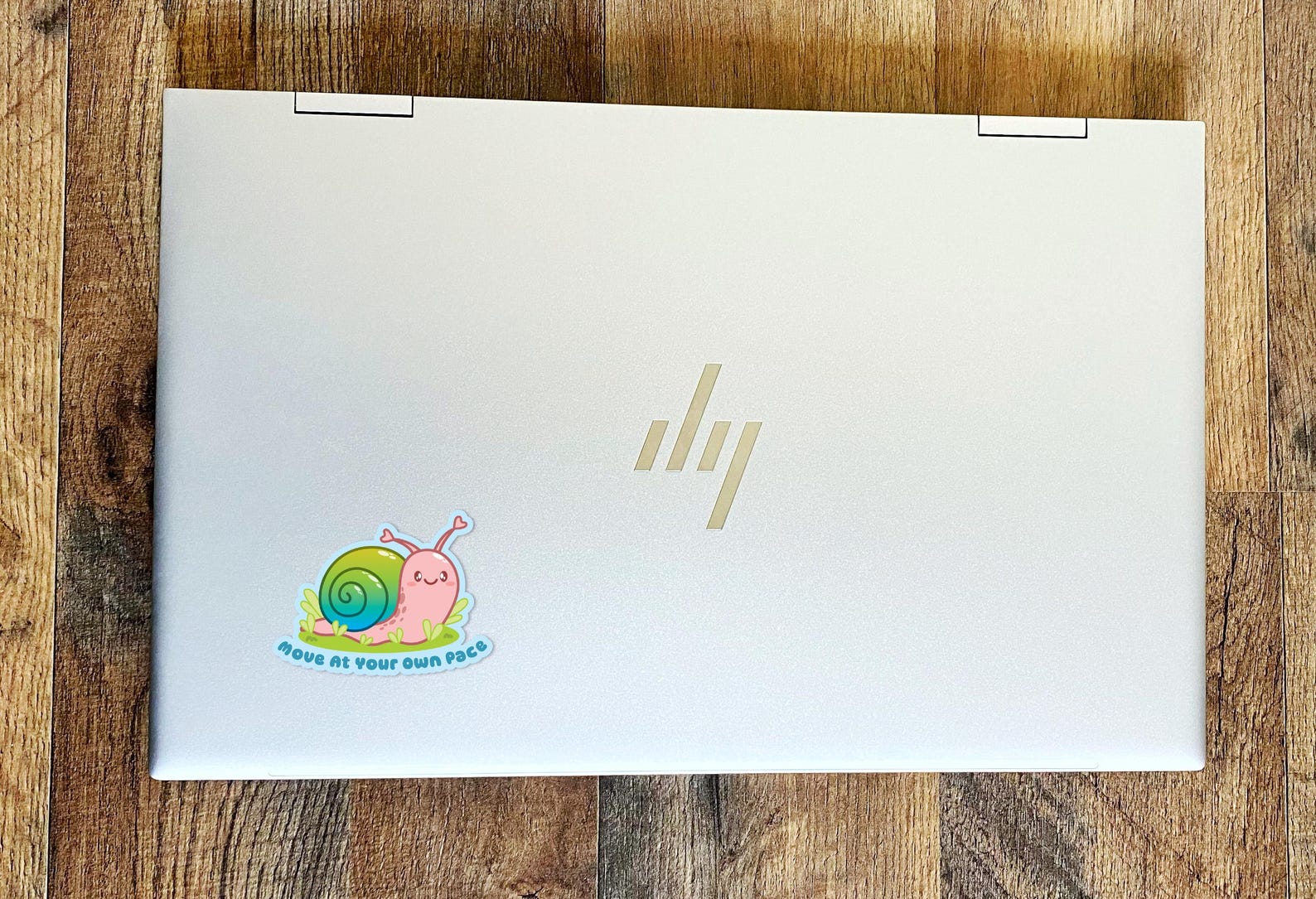 Move at Your Own Pace Sticker | Snail Sticker | Mental Health Sticker ...