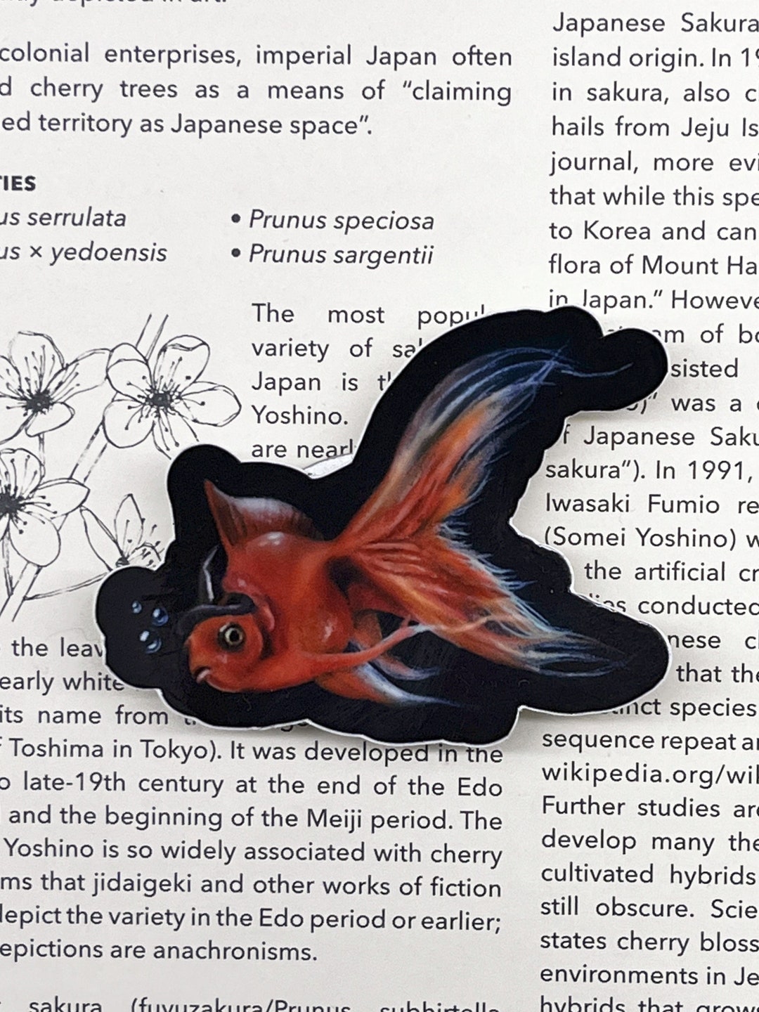 Bongo the Fish, Witch Goldfish Sticker, Bumper Sticker, Laptop Sticker ...