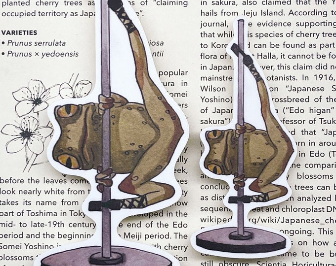 Pole Dancing Frog Sticker, Stripper Frog, Small and Large, Bumper ...