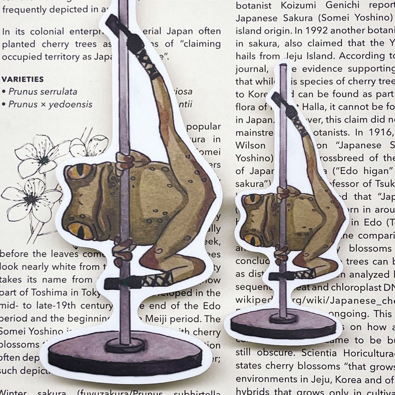 Frog Stickers - Etsy