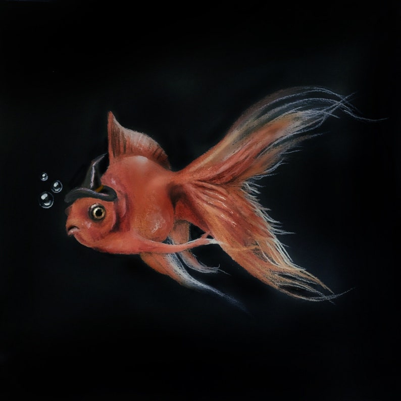 Bongo the Fish, Witch Goldfish Sticker, Bumper Sticker, Laptop Sticker ...